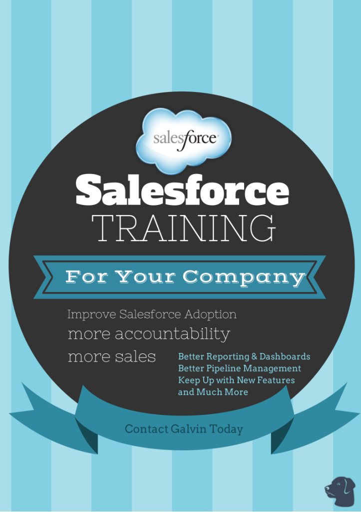 Salesforce Training - Galvin Technologies
